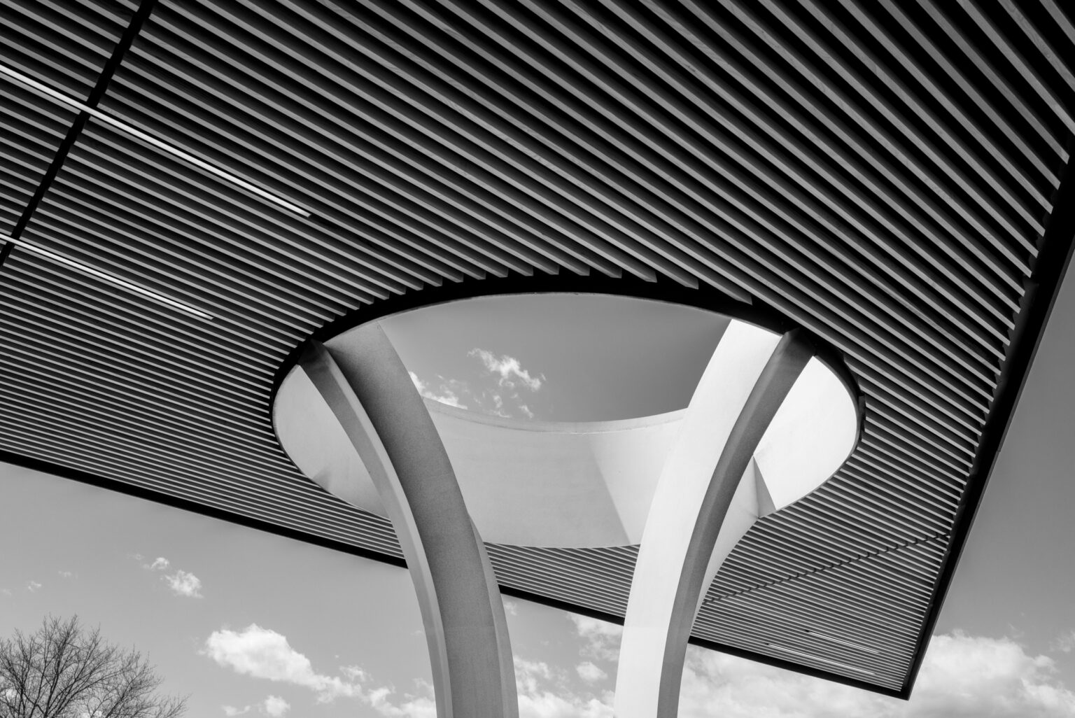 motodesignshop.com - A design studio with inspired craft at its core.